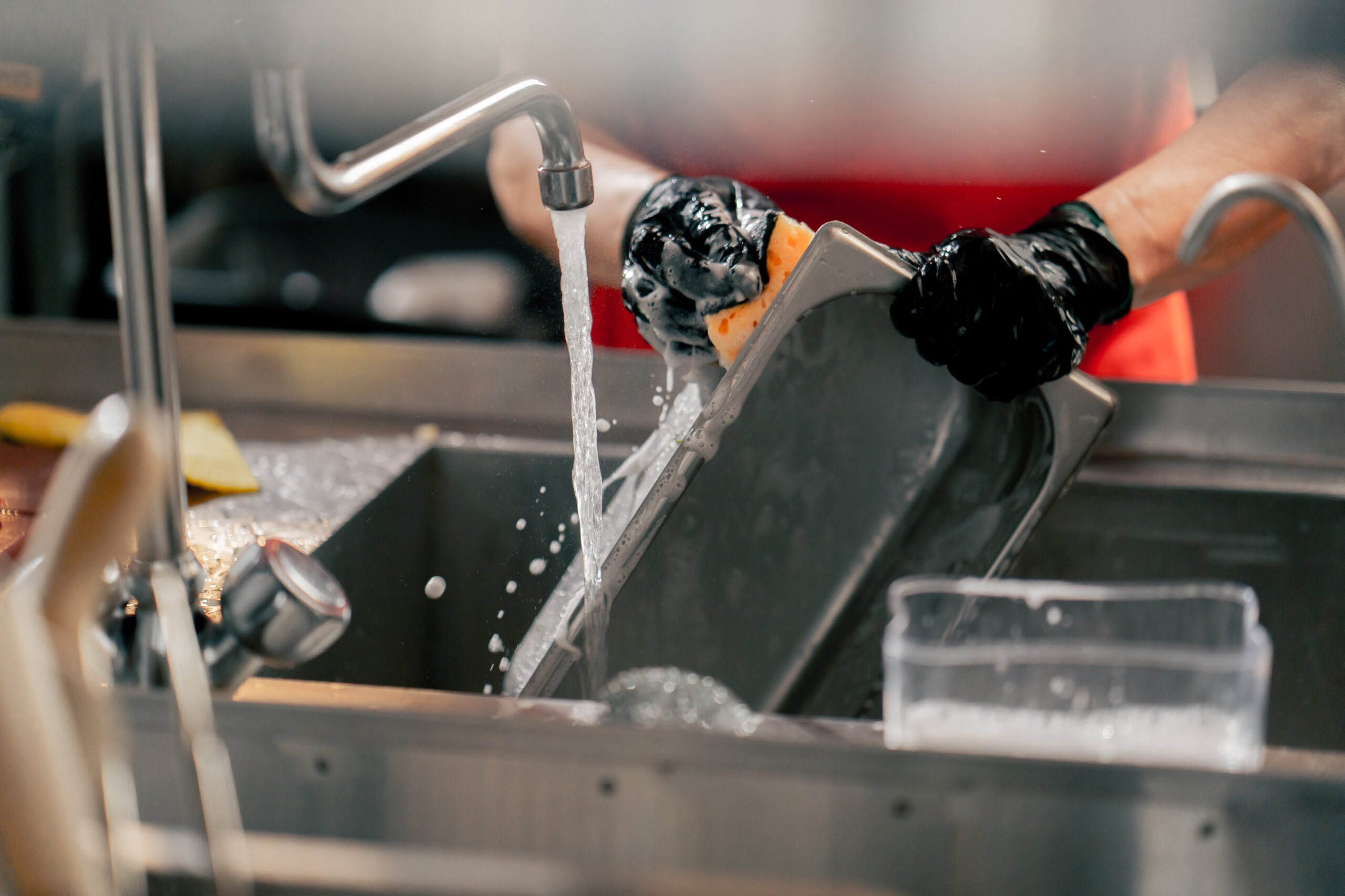 Sanitation SOPs: What Are They and How To Make One [FREE TEMPLATE ...